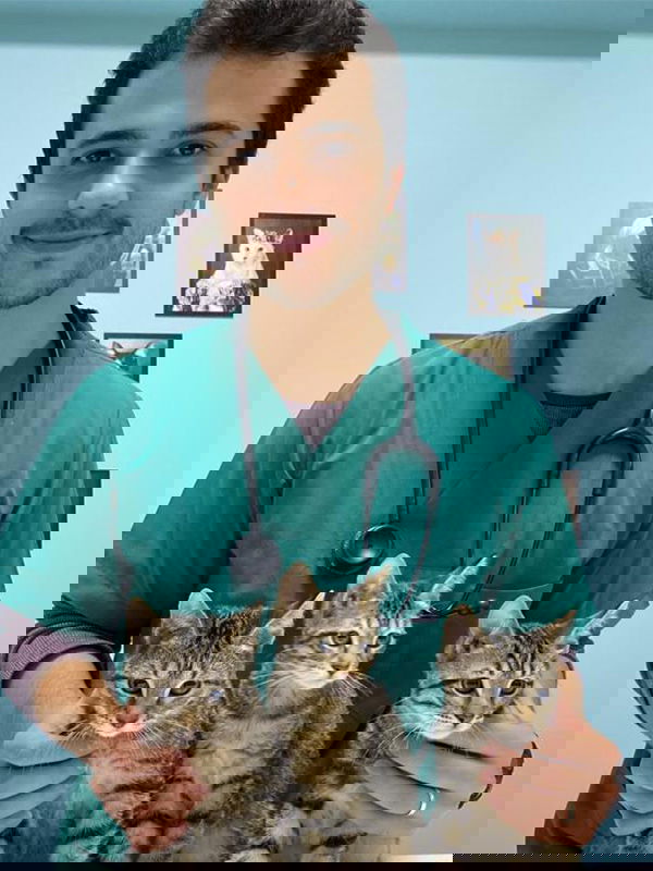 Sakarya Yenikent Veteriner Kliniği